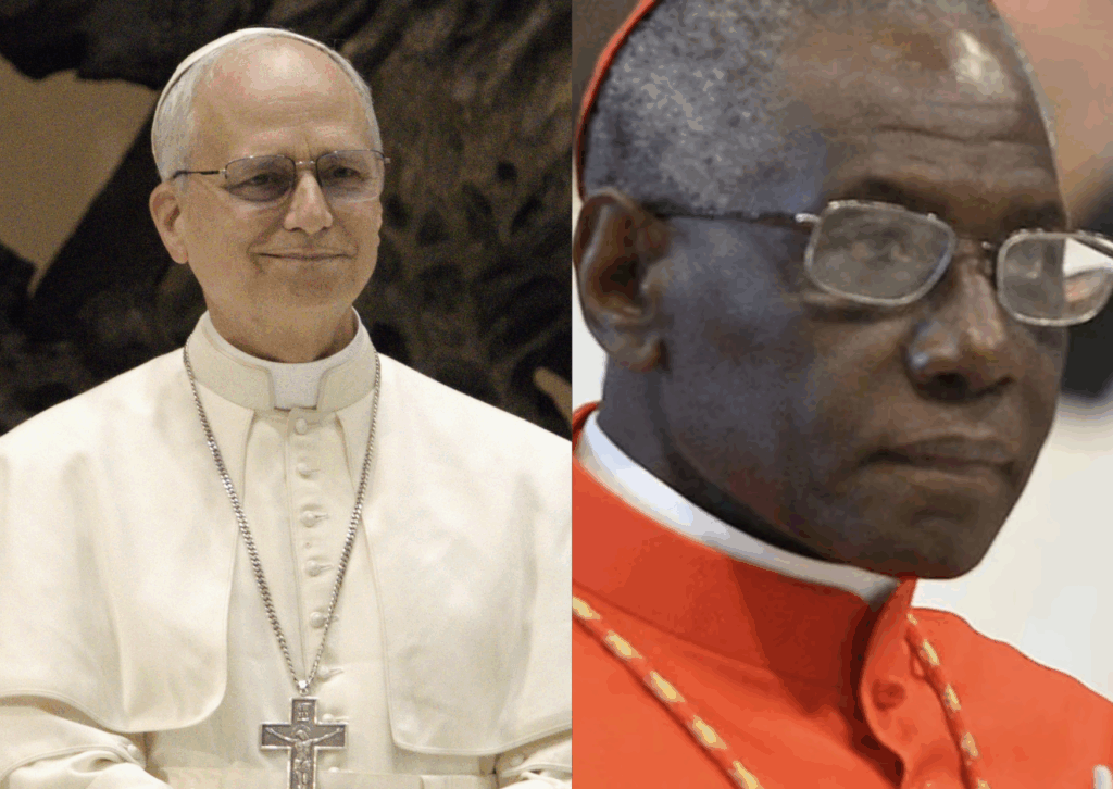 [ FAKE NEWS ] "C’est un manque de respect envers Léon " : Le cardinal ...